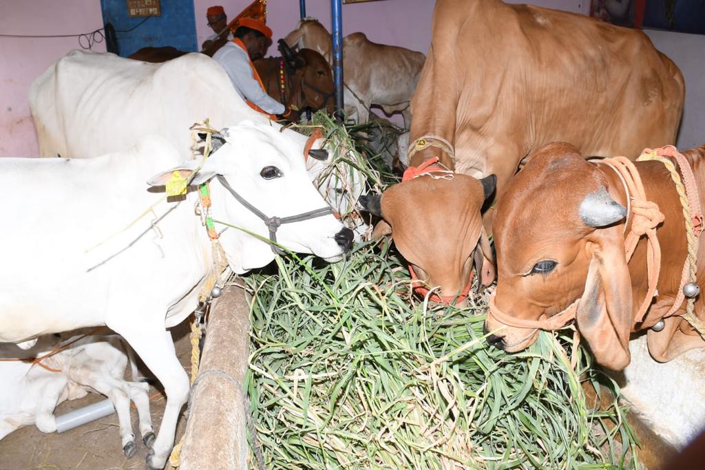 Avadhutha Sri Rami Reddy Thata Samsthan